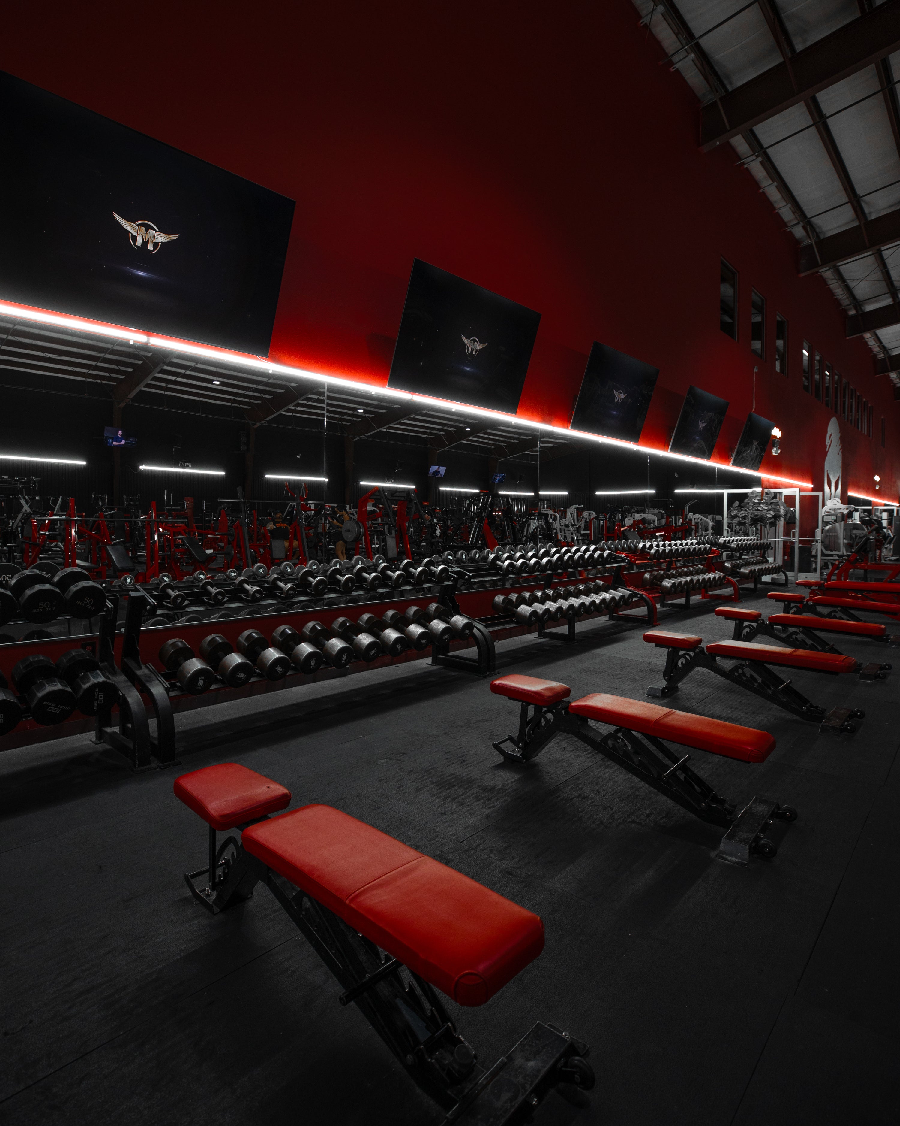 Roman Empire Gym | 24/7 Warehouse Gym for Bodybuilders & Powerlifters