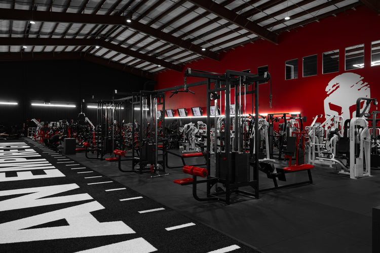 Roman Empire Gym | 24/7 Warehouse Gym for Bodybuilders & Powerlifters