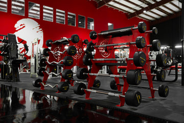 Roman Empire Gym | 24/7 Warehouse Gym for Bodybuilders & Powerlifters