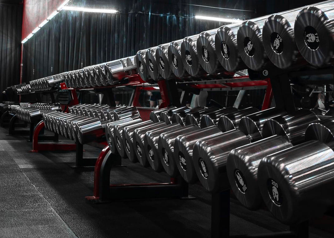 Roman Empire Gym | 24/7 Warehouse Gym for Bodybuilders & Powerlifters