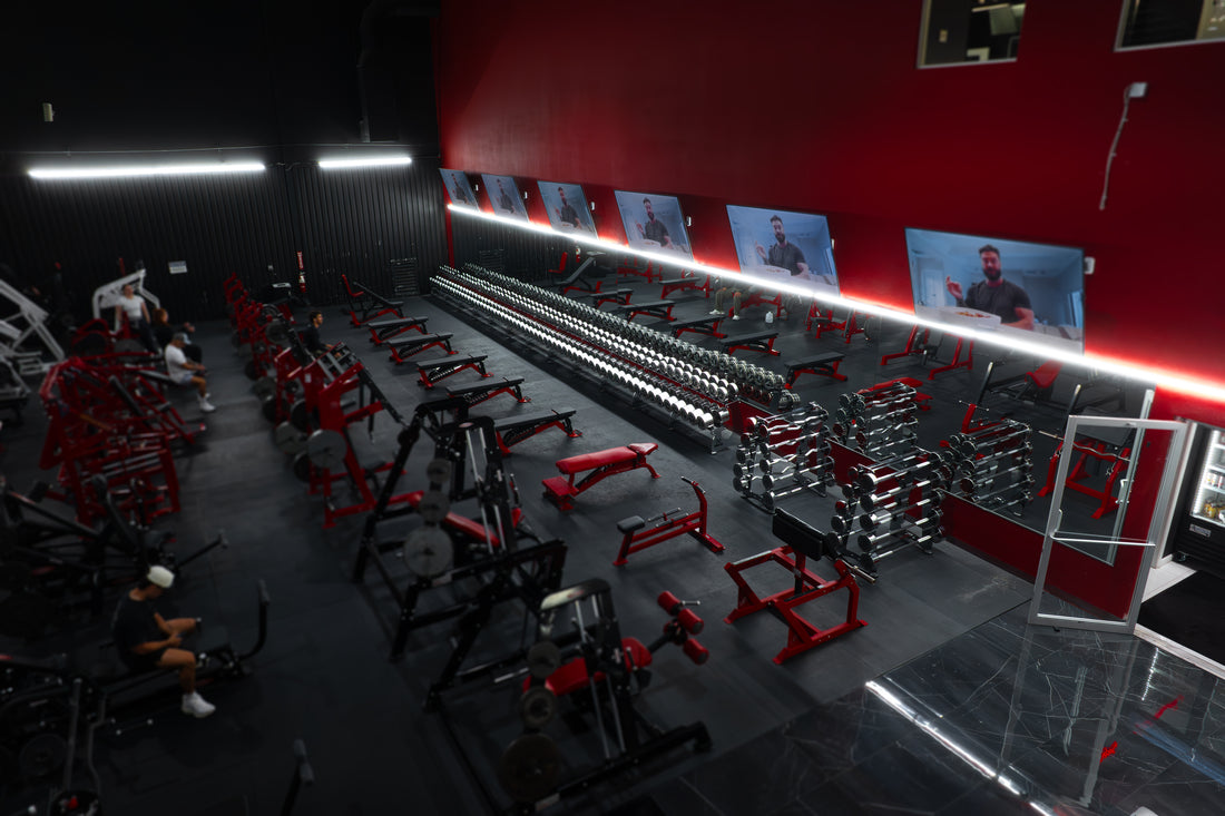 Roman Empire Gym | 24/7 Warehouse Gym for Bodybuilders & Powerlifters